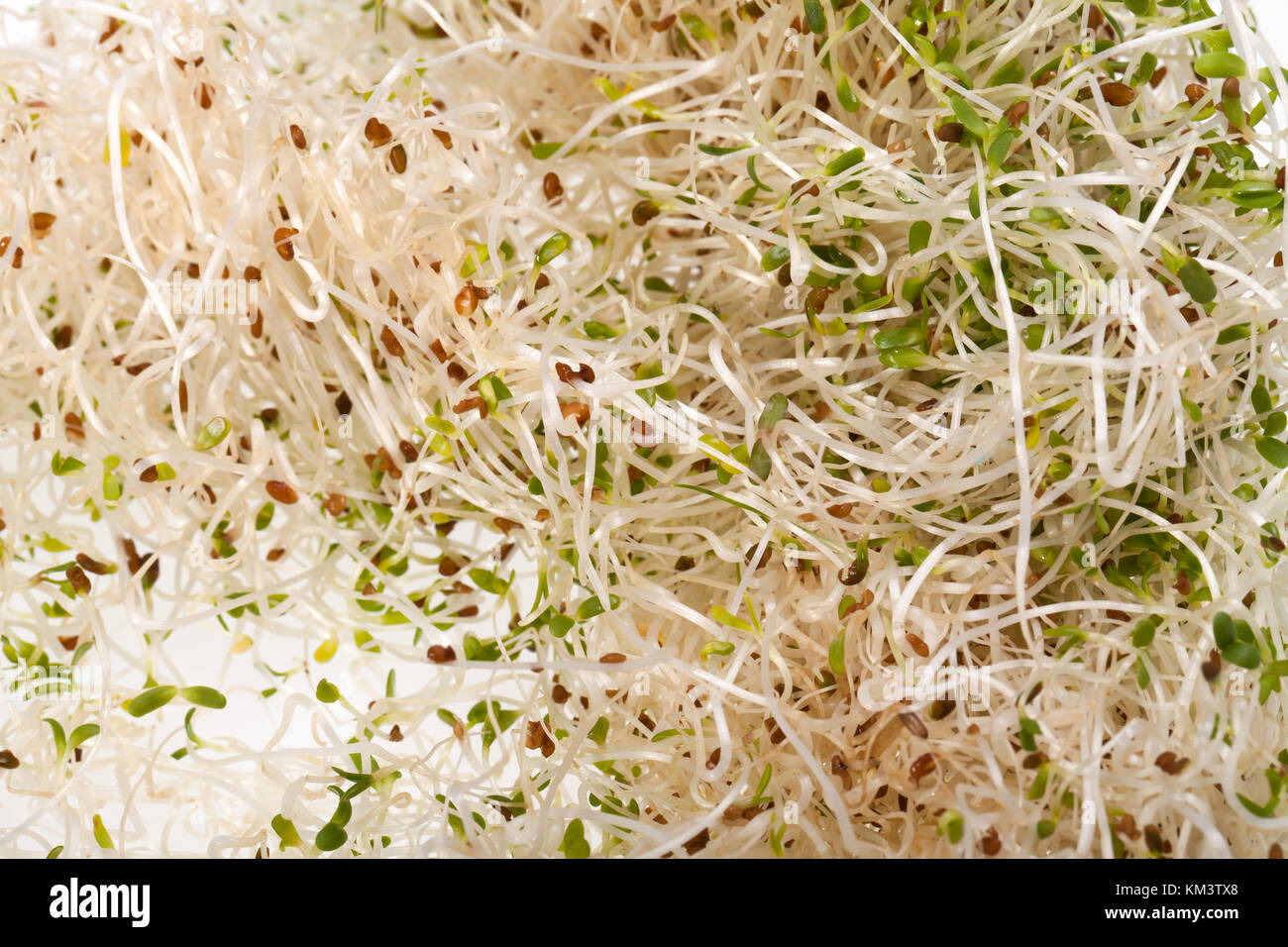 The healthy diet. Fresh sprouts isolated on white background Stock ...