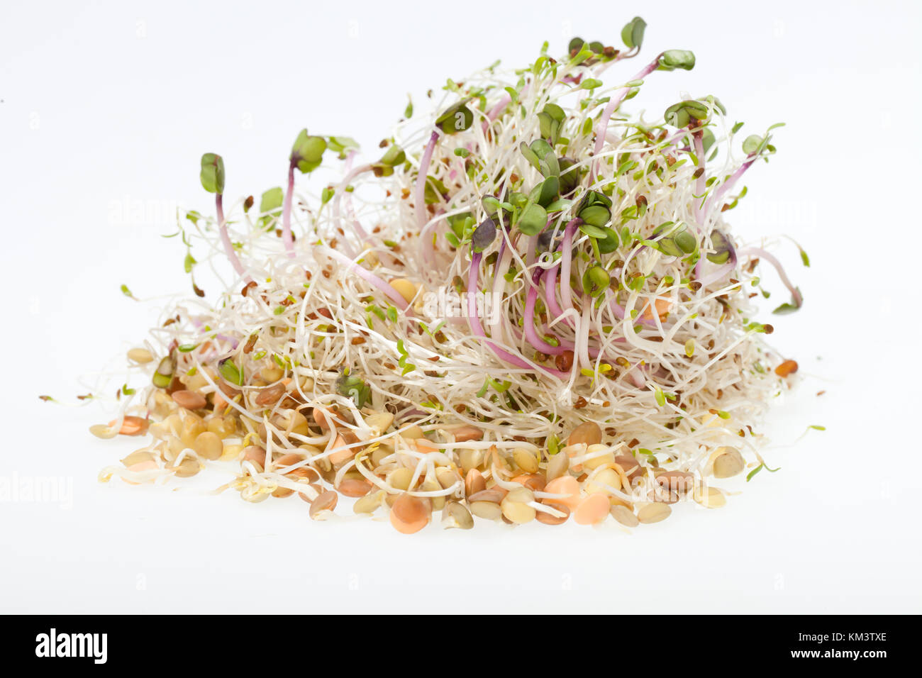 The healthy diet. Fresh sprouts isolated on white background Stock ...