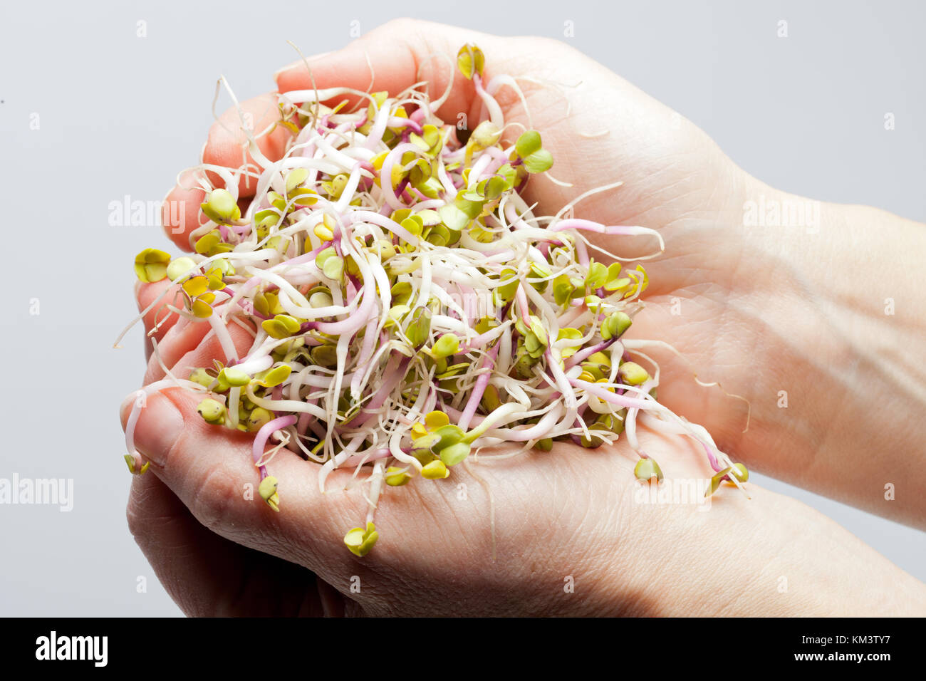 The healthy diet. Fresh sprouts isolated on white background Stock ...