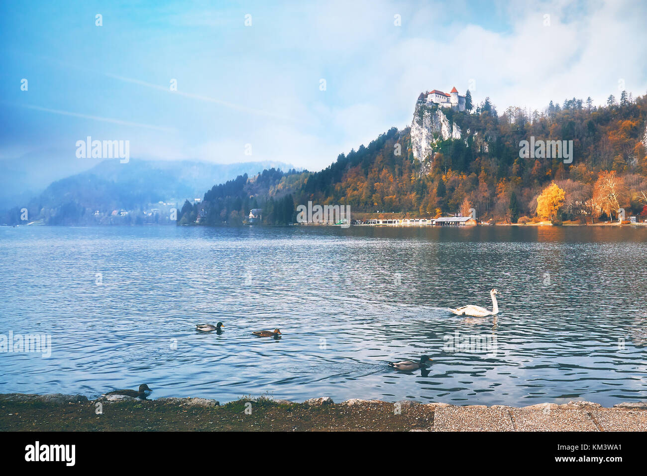 Medieval Bled castle on cliff overlooking Bled lake in Slovenia, autumn ...