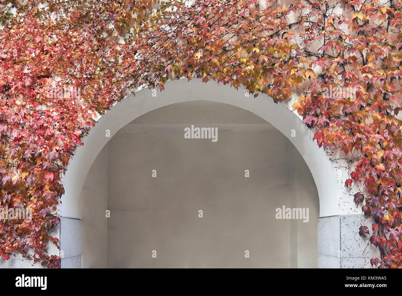 Arch surround hi-res stock photography and images - Alamy