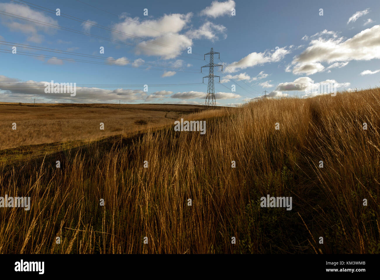 Pylons in the English Landscape on a Sunny Day Stock Photo - Alamy