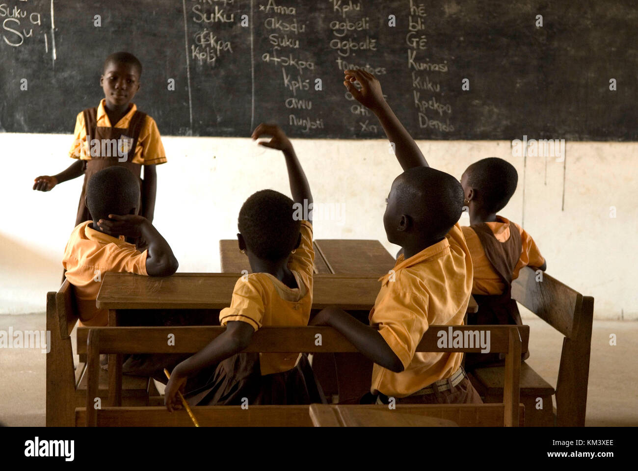 Comboni primary school . The Comboni Centre is a multifunctional center ...