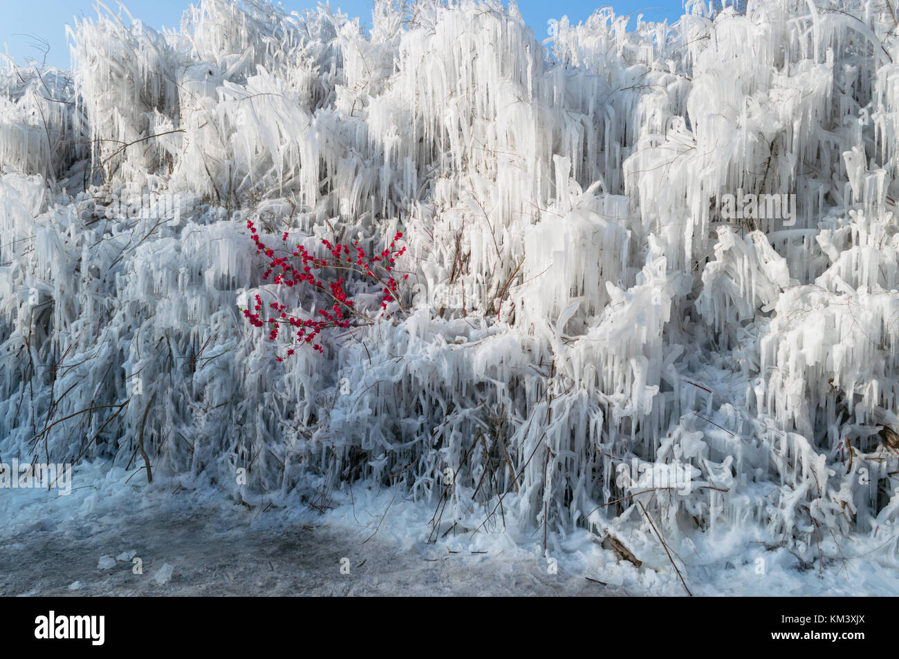 Artificial icicles hi-res stock photography and images - Alamy