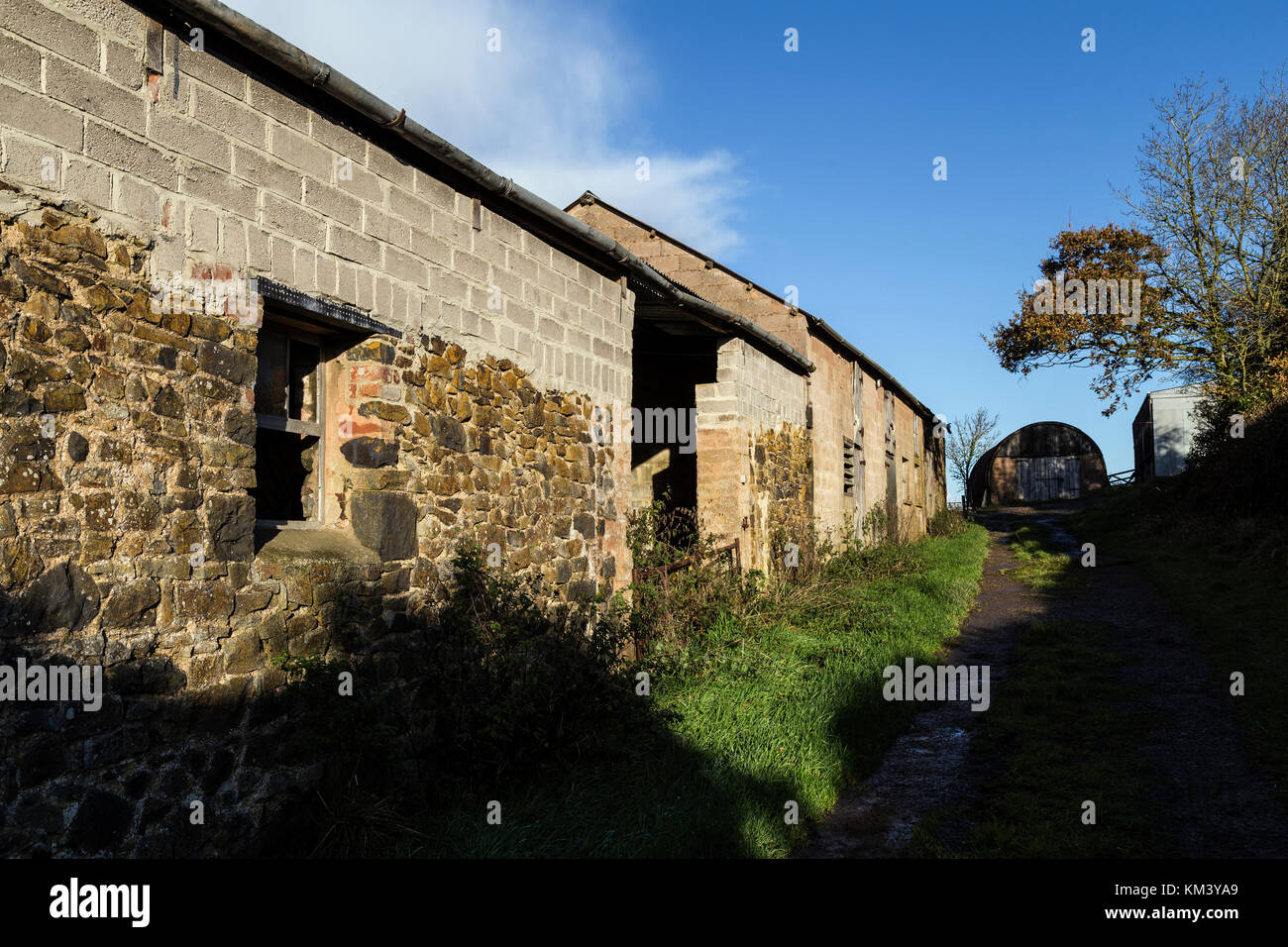 Devon Barn with rusty corragated sheets,A barn is an agricultural ...