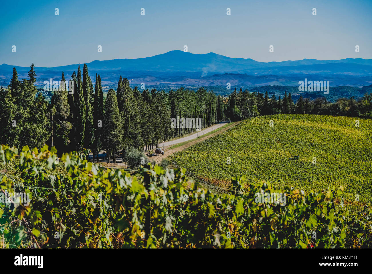 Toscana lovers hi-res stock photography and images - Alamy
