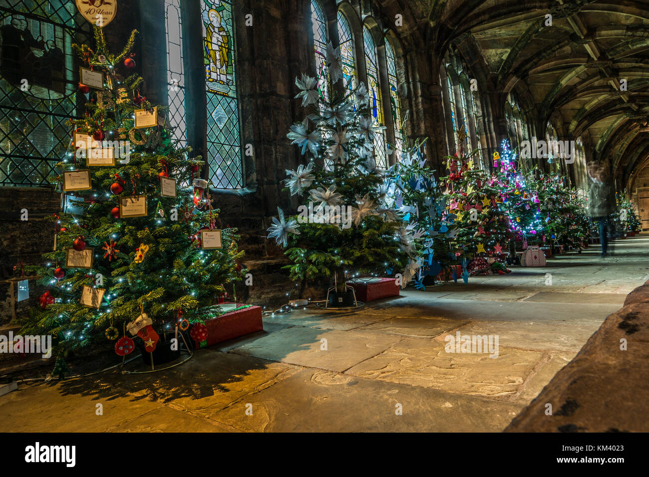 Cathedral of trees hi-res stock photography and images - Alamy