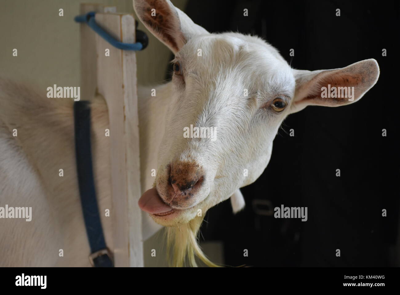 Tell me how you really feel Stock Photo - Alamy