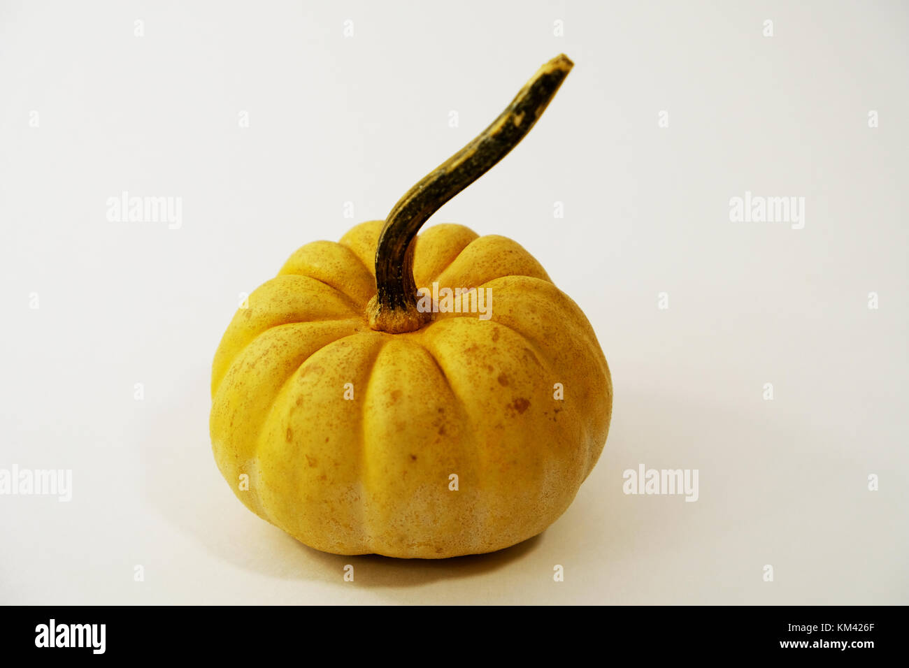 Pumkin and food hi-res stock photography and images - Alamy