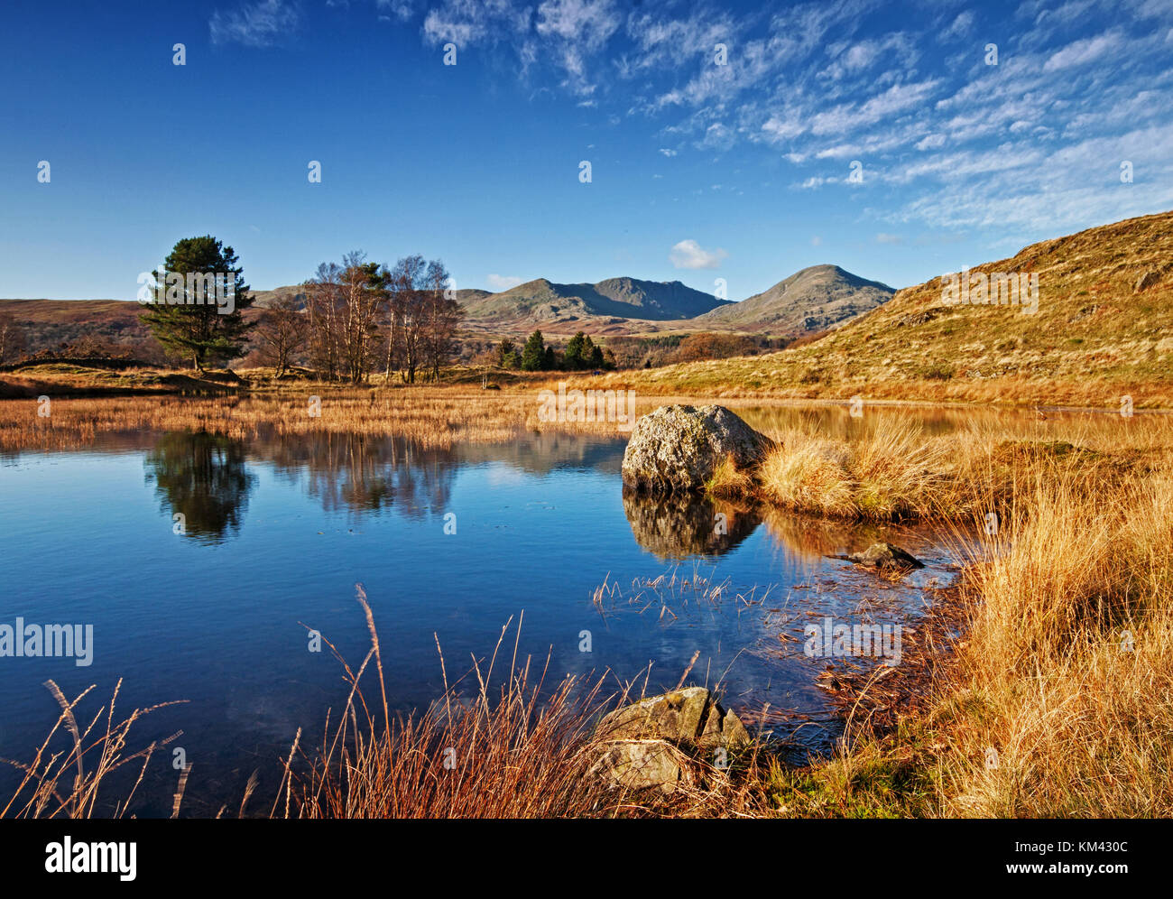 Kelly hall hi-res stock photography and images - Alamy