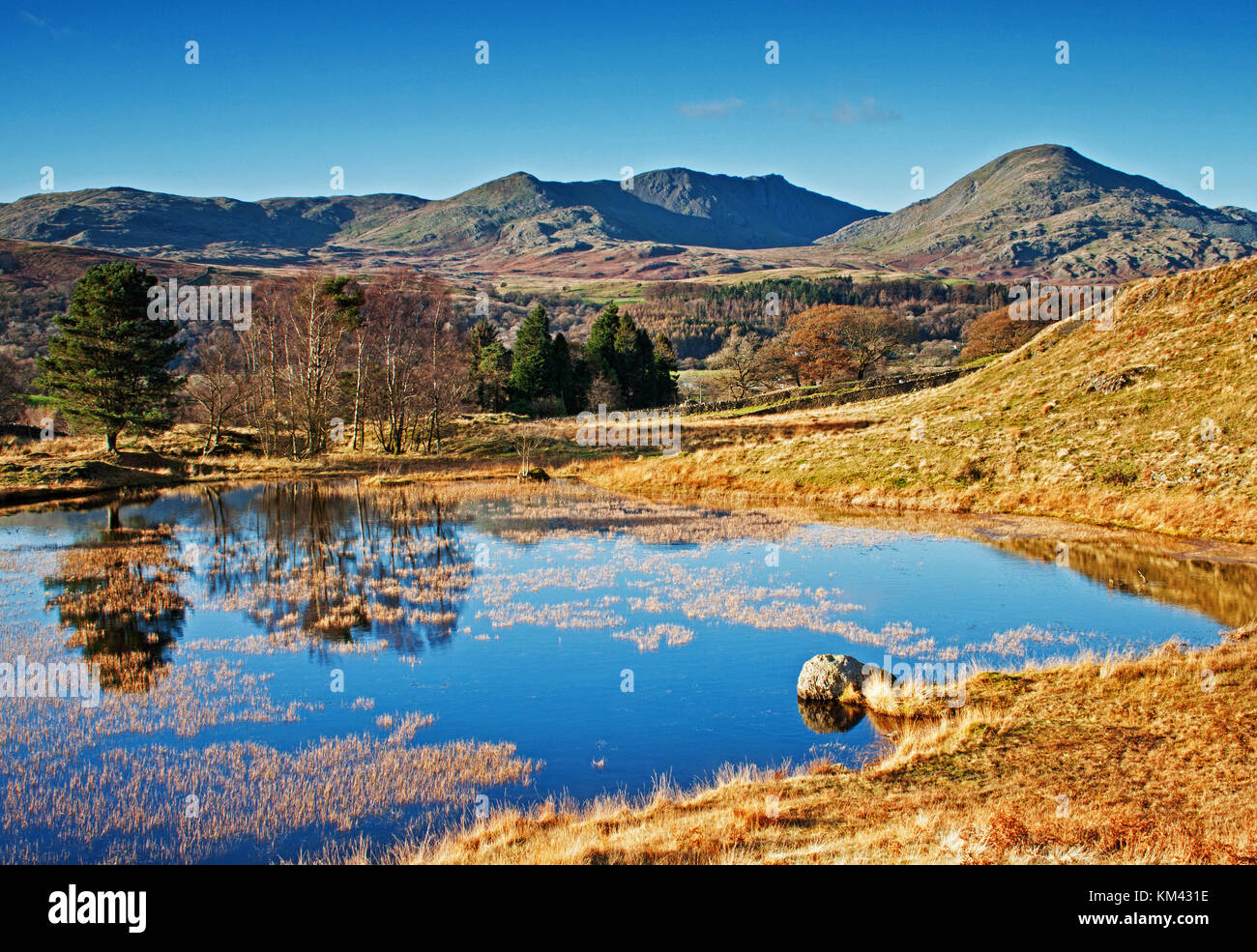 Kelly hall tarn torver lake hi-res stock photography and images - Alamy