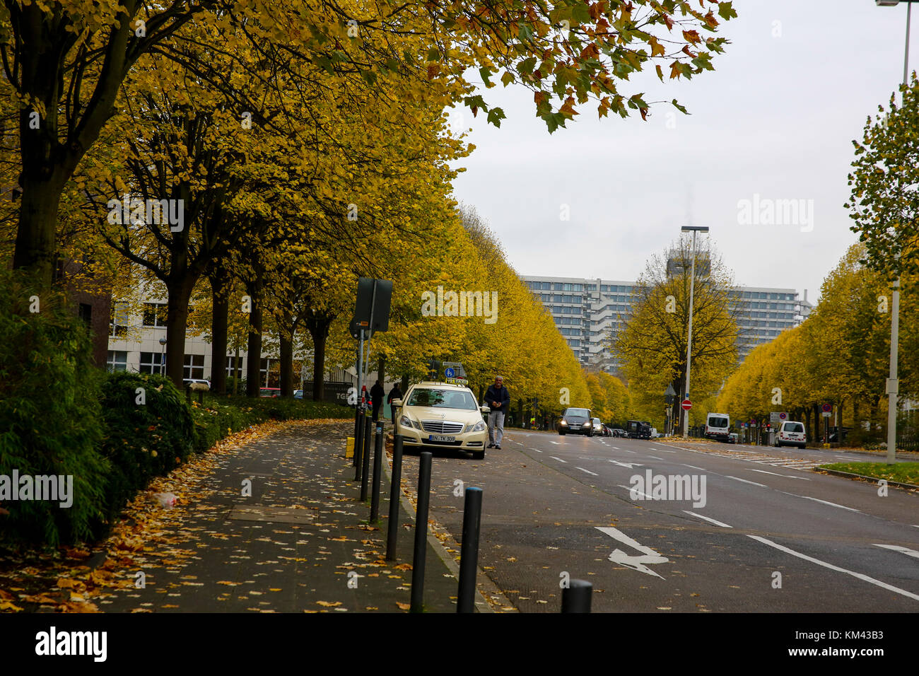 Street view of the Bonn city of Germany in autumn Stock Photo - Alamy