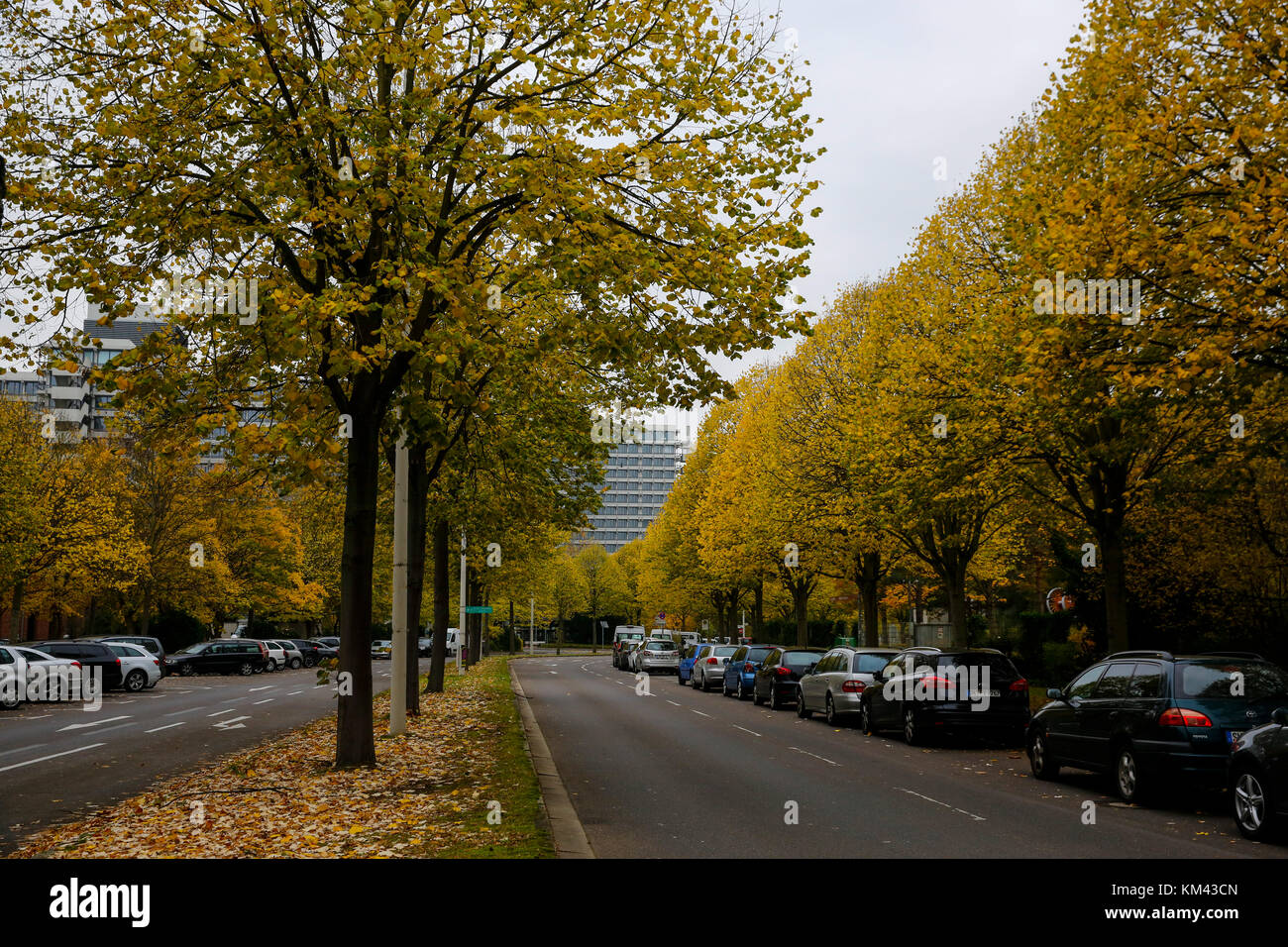 Street view of the Bonn city of Germany in autumn Stock Photo - Alamy