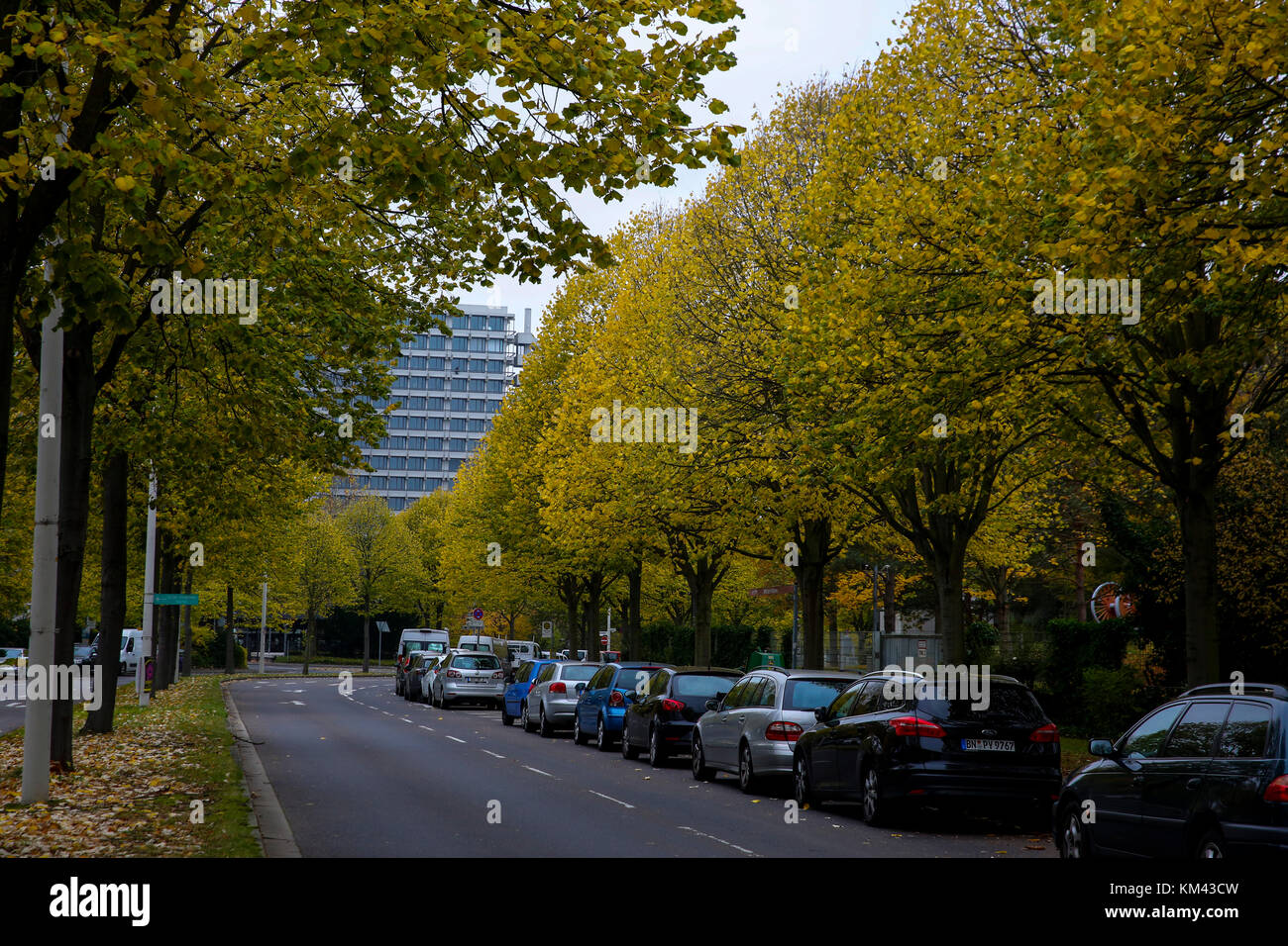 Autumn in city in germany hi-res stock photography and images - Alamy
