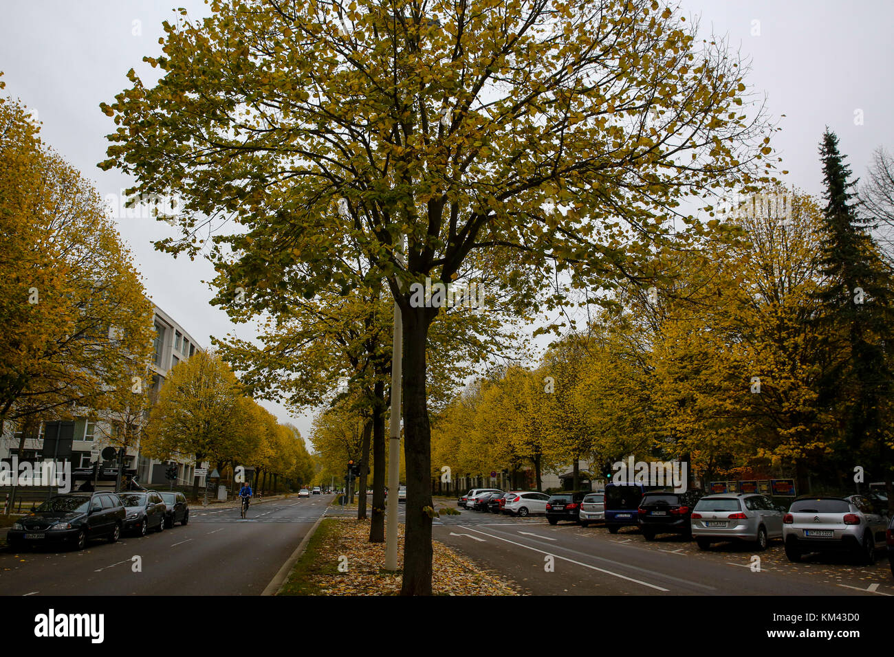 Parking walkway germany hi-res stock photography and images - Alamy