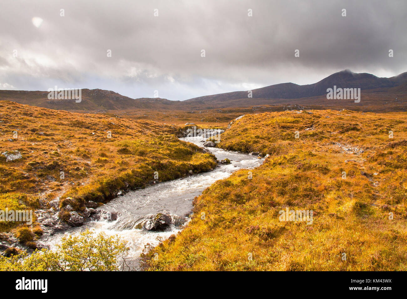 Nature of Scotland Stock Photo - Alamy