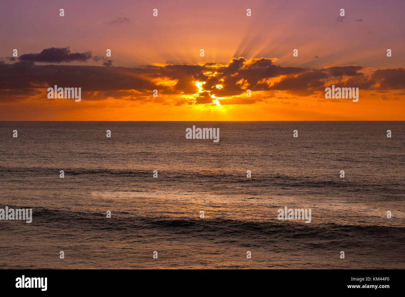 Ocean wave during sunset Stock Photo - Alamy