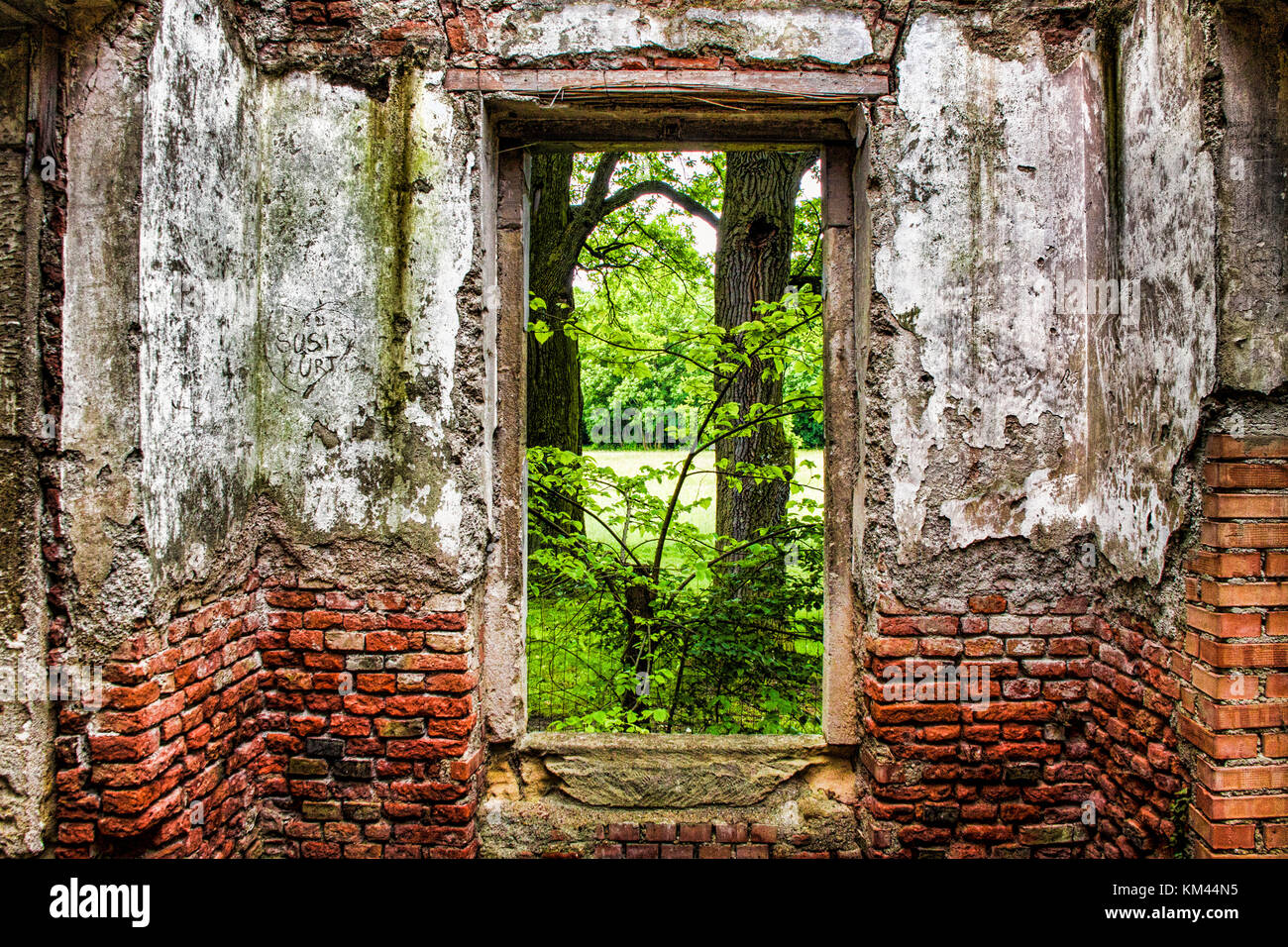 Ruin window into green Stock Photo - Alamy