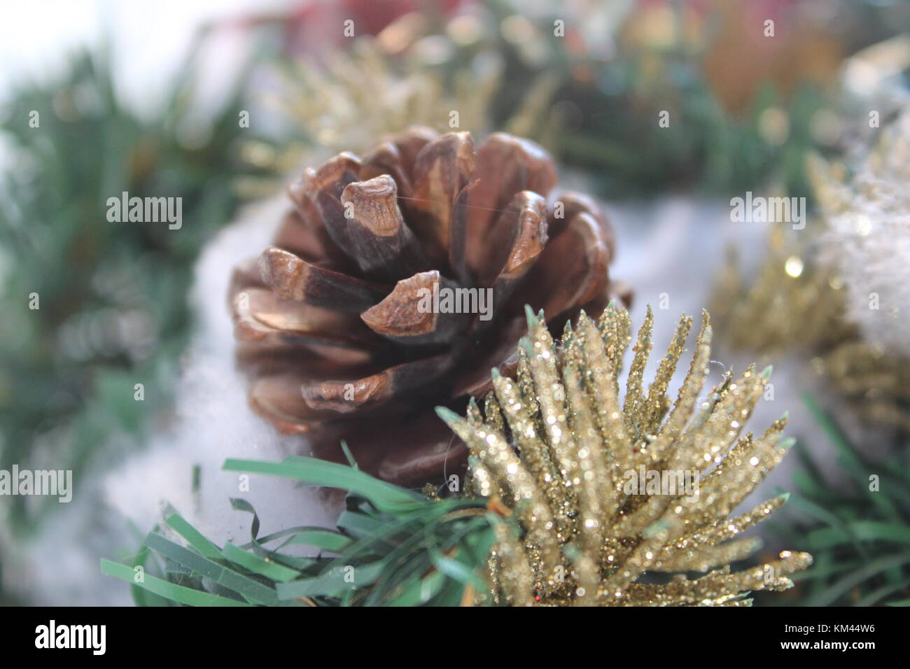 Christmas Pine Cone Stock Photo - Alamy
