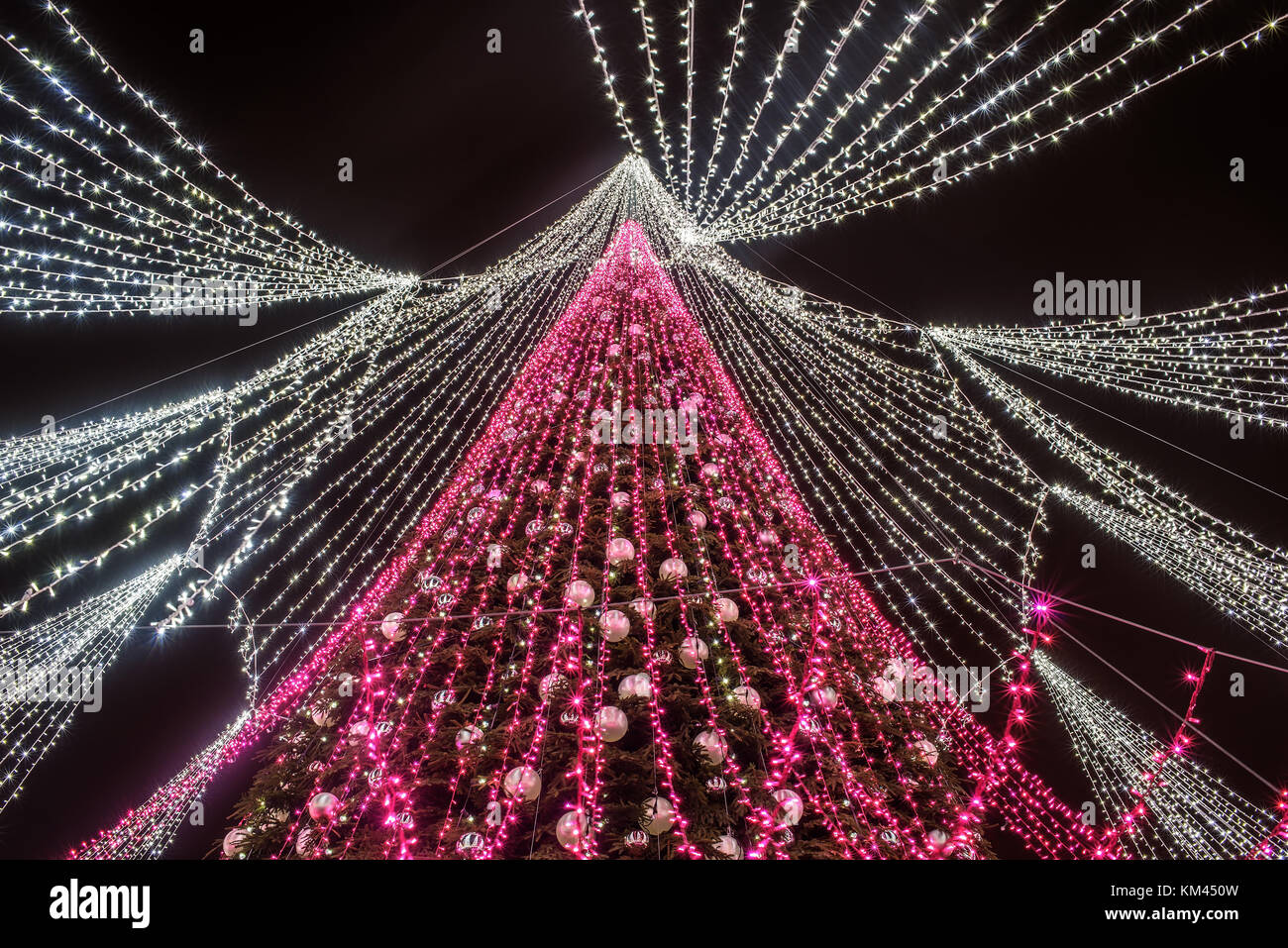 Vilnius, Lithuania: Christmas tree in Cathedral Square Stock Photo - Alamy