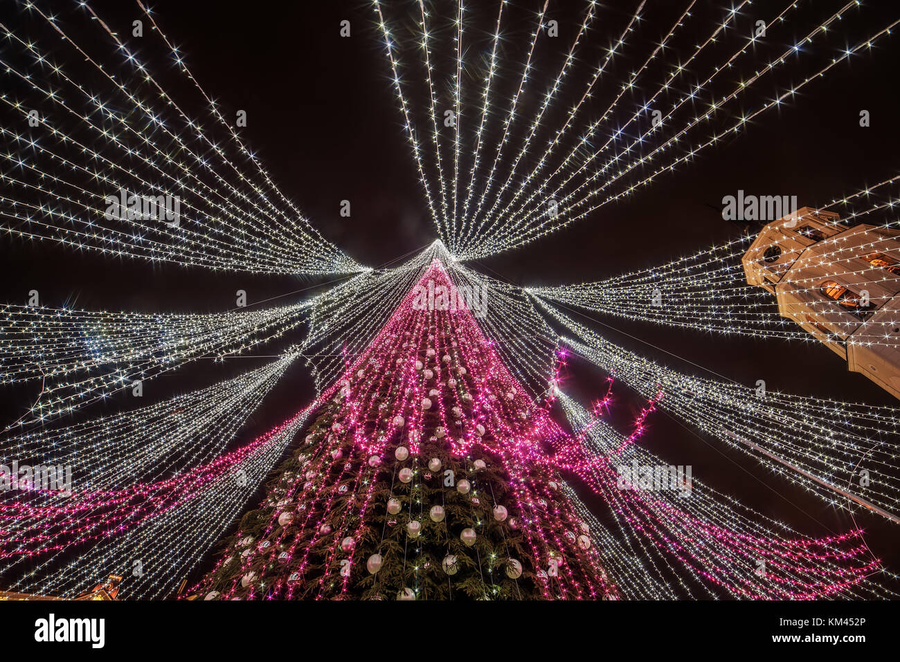 Vilnius, Lithuania: Christmas tree in Cathedral Square Stock Photo - Alamy
