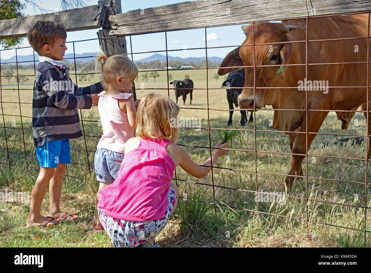 Boy and three girls hi-res stock photography and images - Alamy