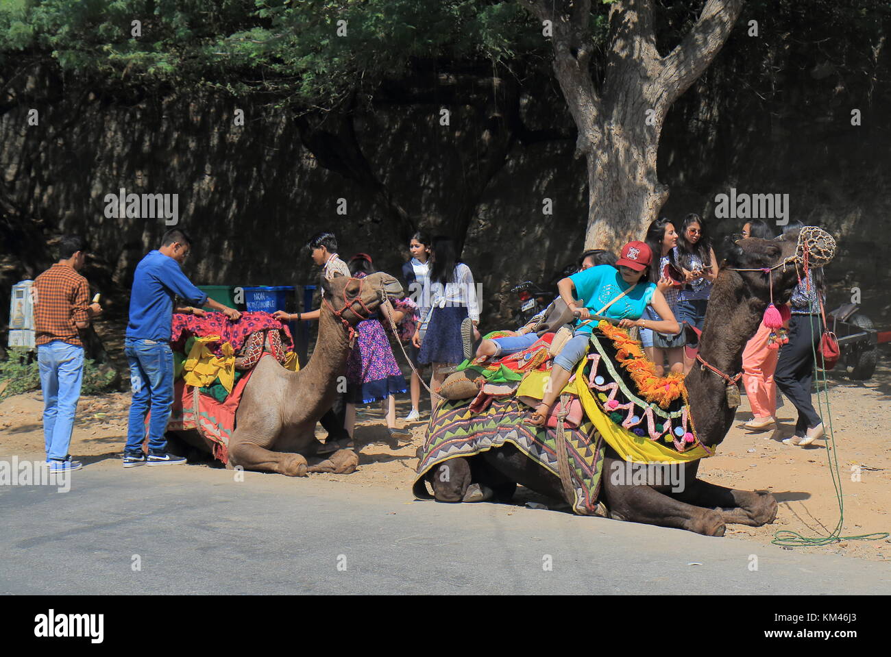 Camel riding in india hi-res stock photography and images - Alamy