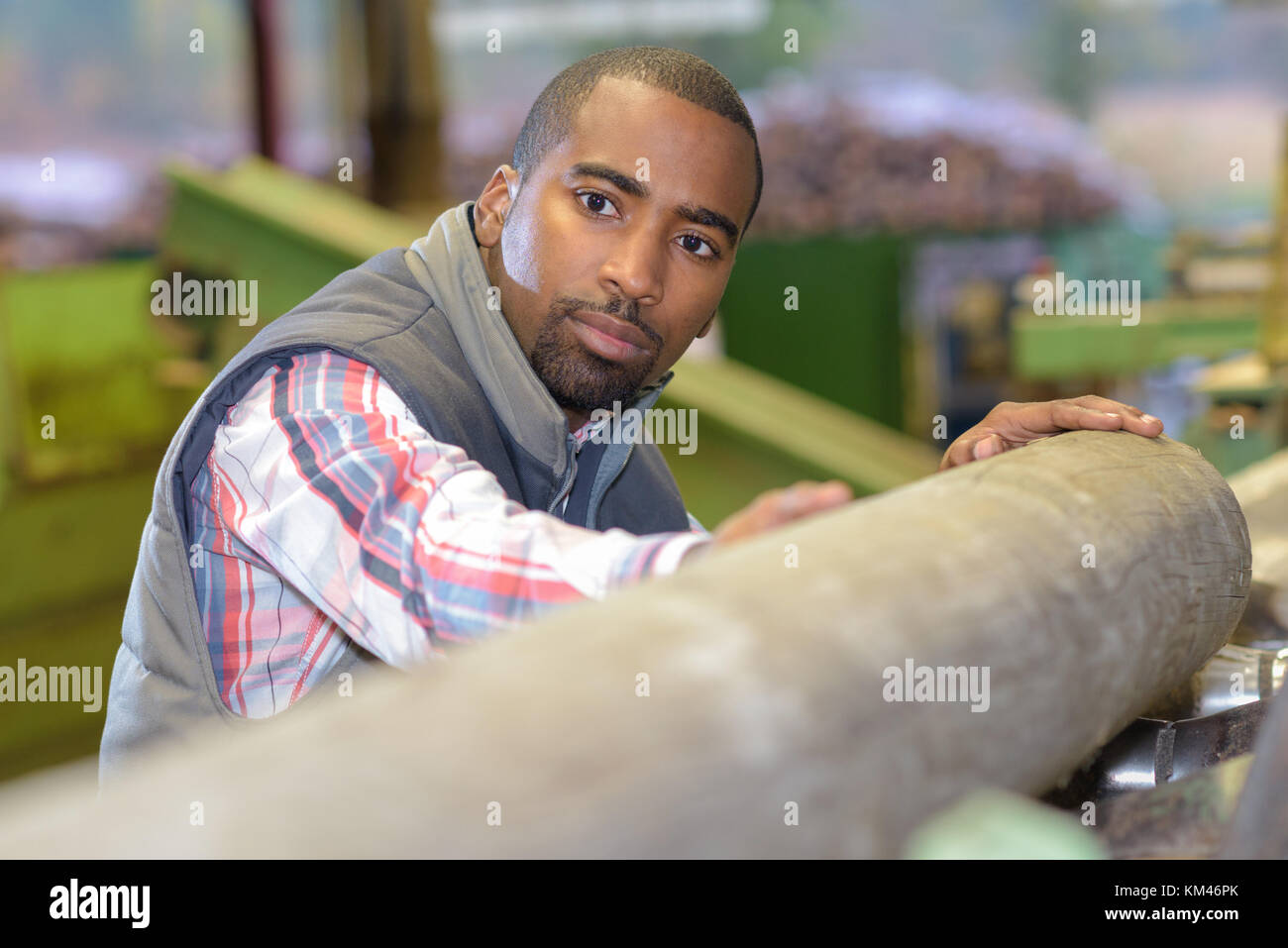 log industry inspector Stock Photo - Alamy