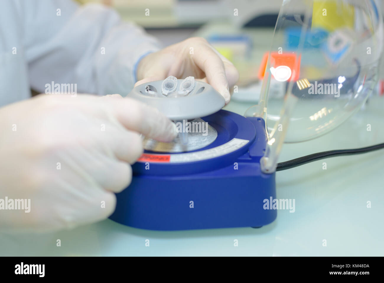 identification examination in the lab Stock Photo - Alamy