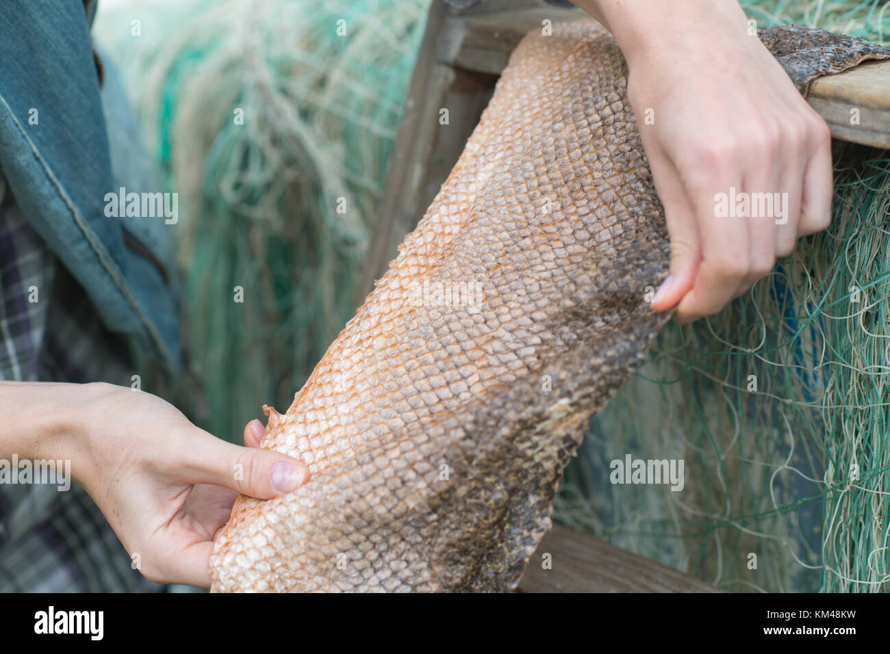 snake skin close up Stock Photo - Alamy