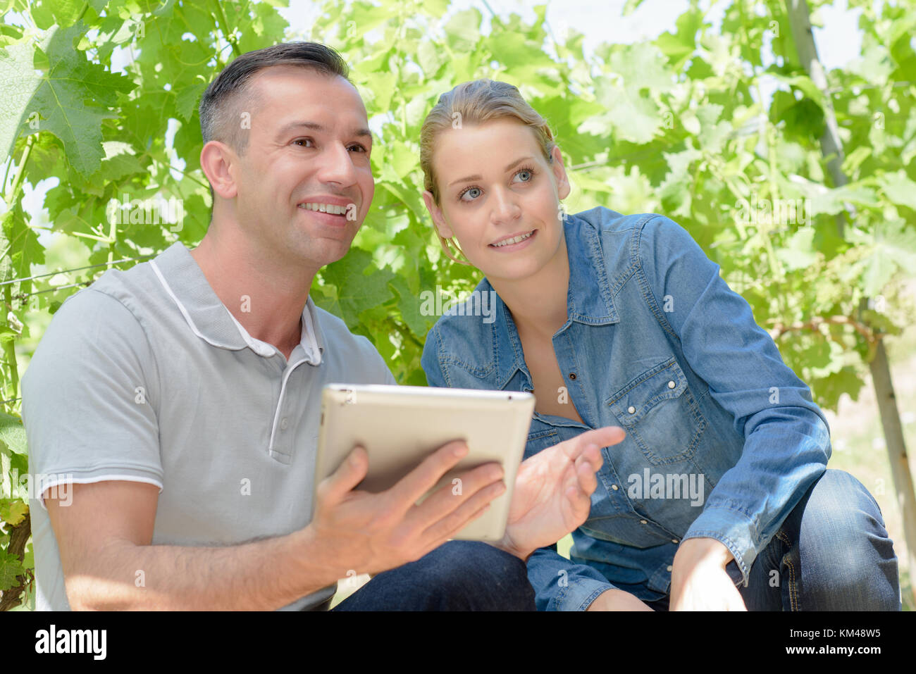 Man and woman next to grape vines, holding tablet Stock Photo - Alamy