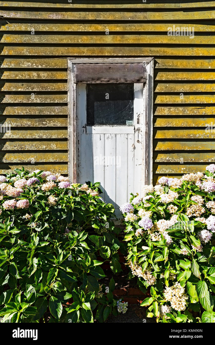 Weatherboard house australia hi-res stock photography and images - Alamy