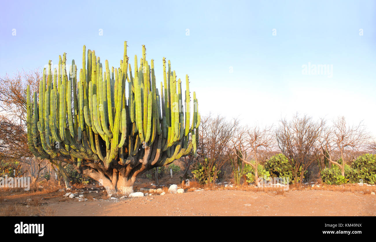 20 meters high hi-res stock photography and images - Alamy
