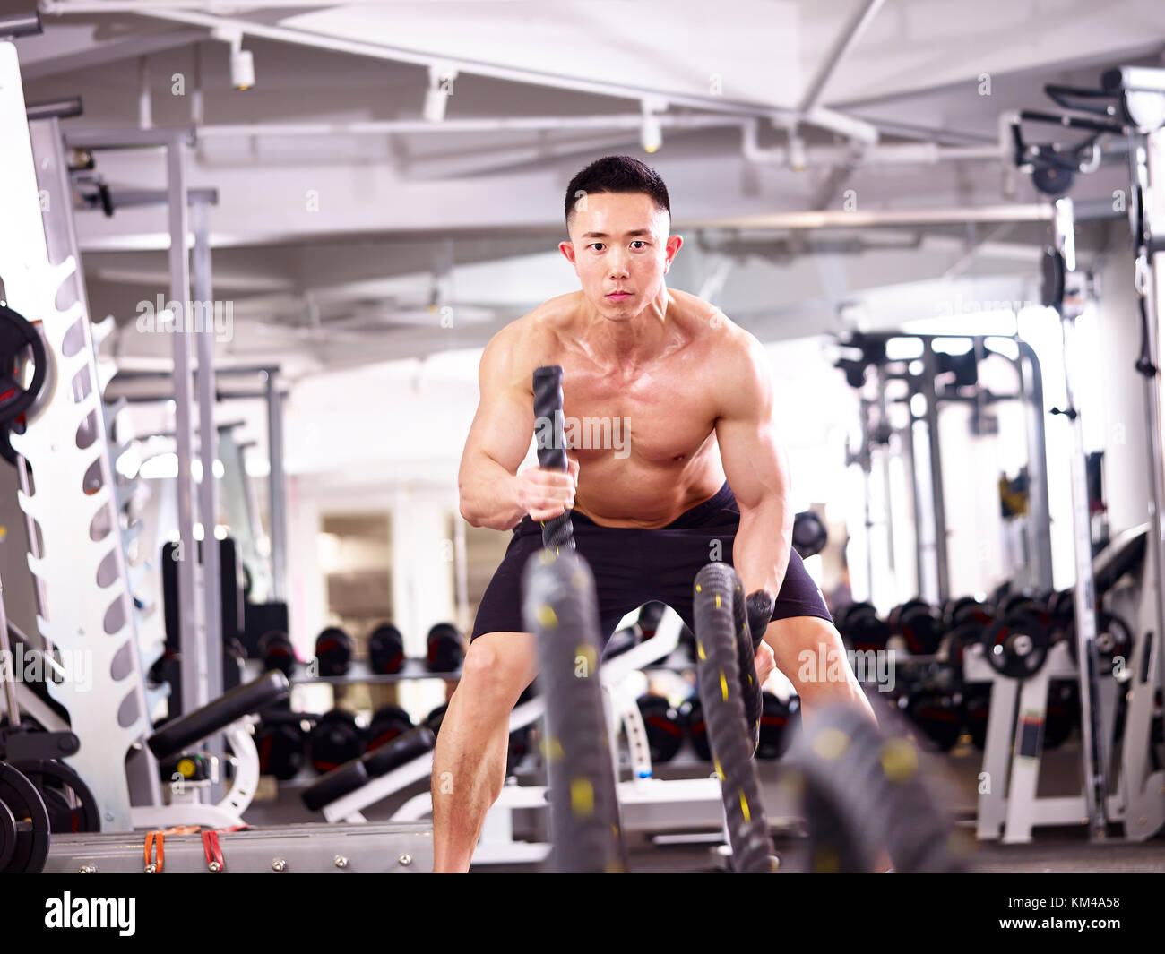 asian male bodybuilder working out in gym using battle ropes Stock ...