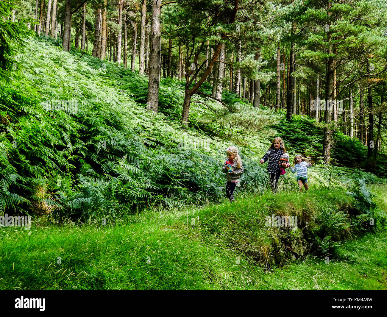 Children running in a lush green forest bright spring day, Glendalough ...