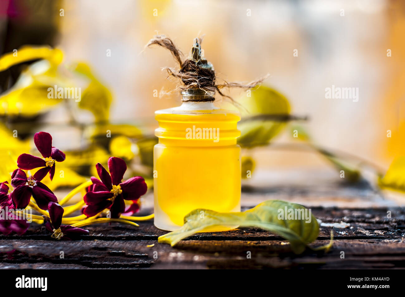 Combretum indicum,Rangoon creeper's oil in a glass bottle on rustic ...