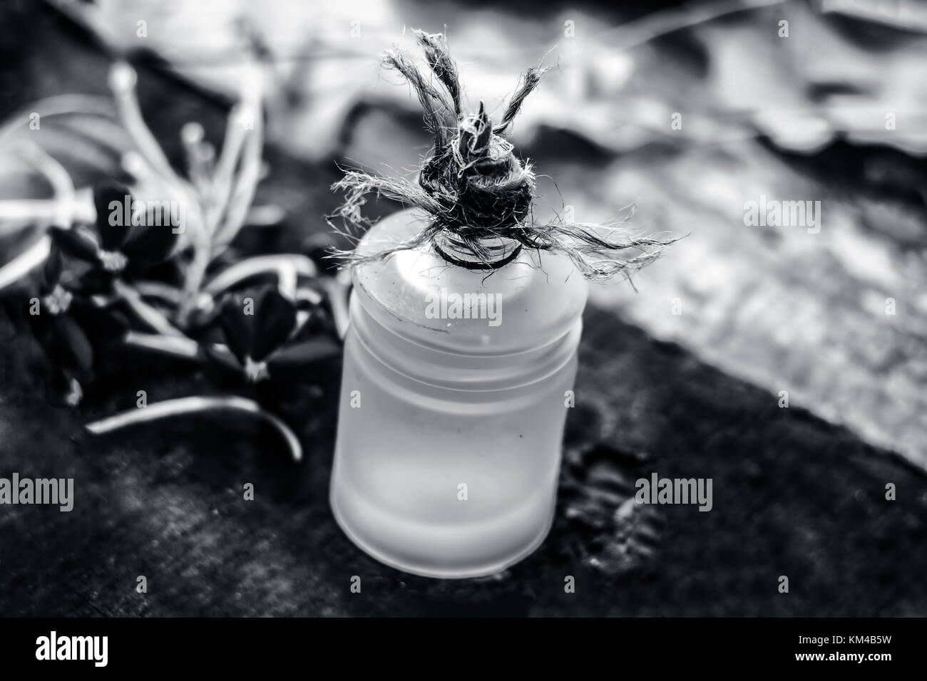 Combretum indicum,Rangoon creeper's oil in a glass bottle on rustic ...