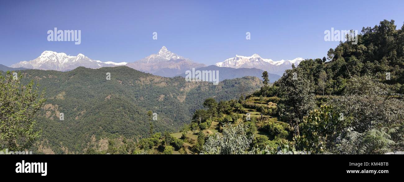 Trekkingtouristen hi-res stock photography and images - Alamy