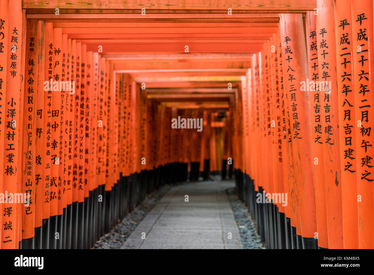 Curved corridor hi-res stock photography and images - Alamy