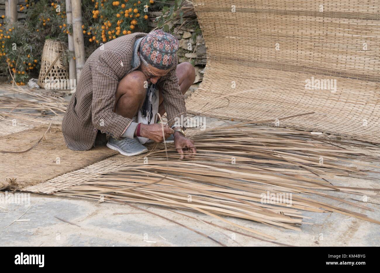 A man is weaving a mat in a village of the Annapurna region of rice ...