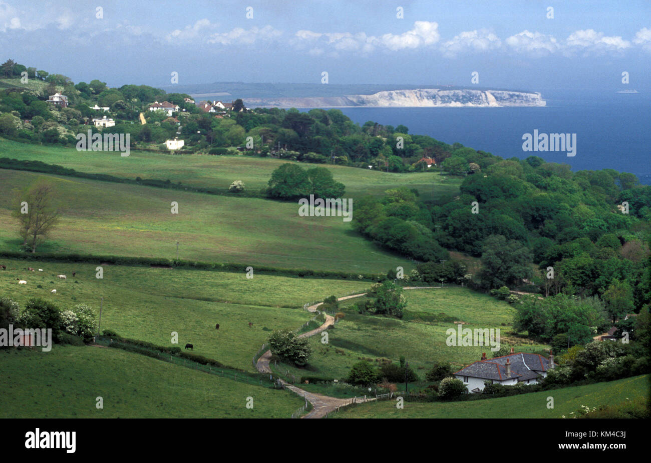 Luccombe hi-res stock photography and images - Alamy