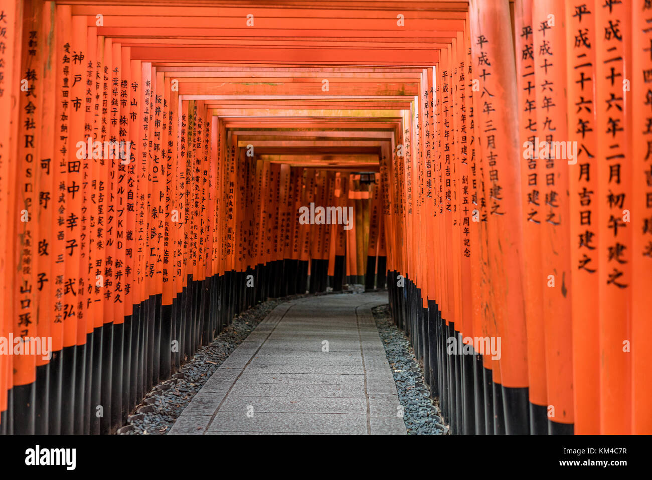 Curved corridor of Red Torii gates at Fushimi Inari Taisha Shinto ...