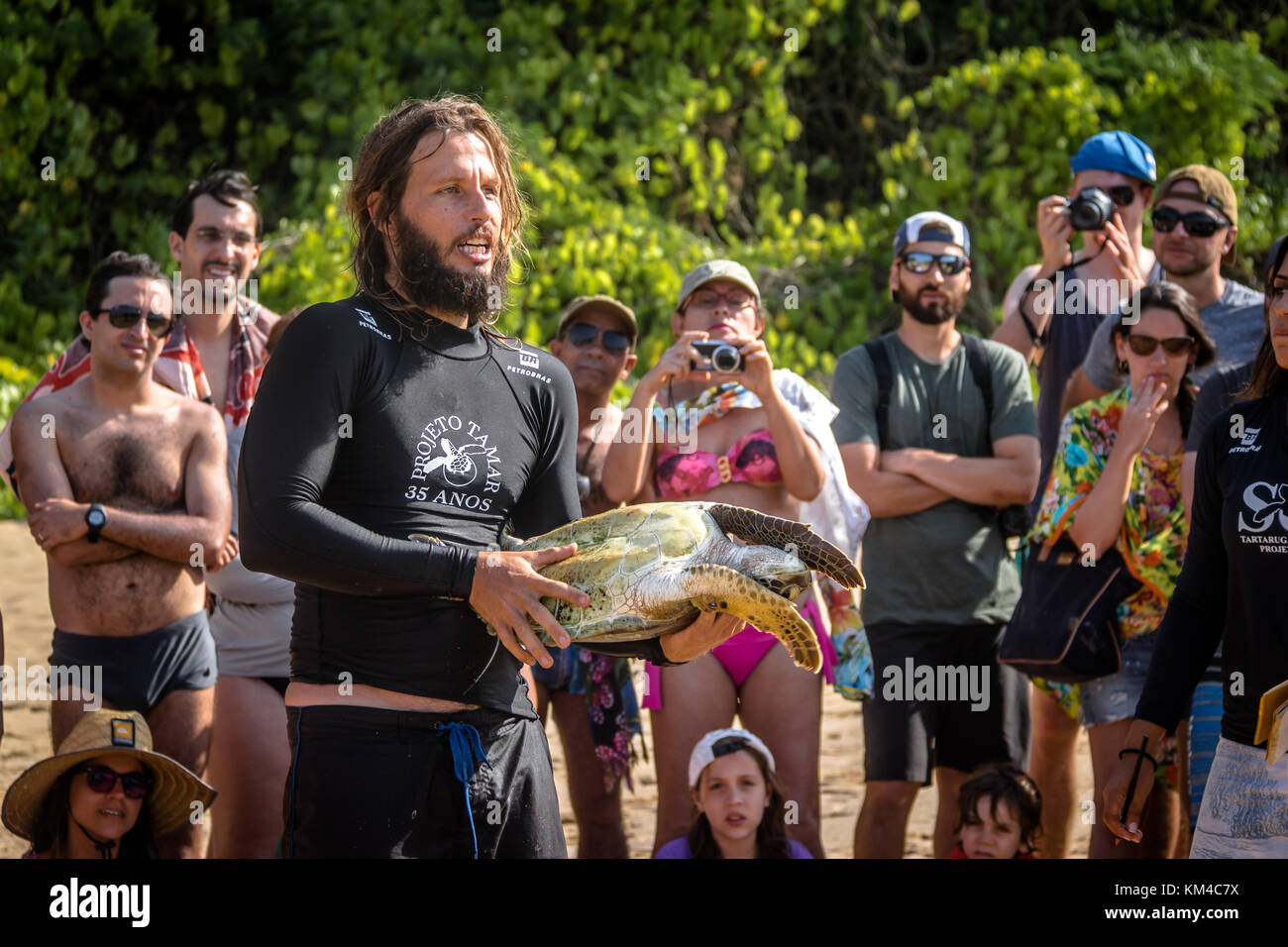 Scientific Capture of Sea Turtles by Tamar Project (Projeto Tamar) at ...