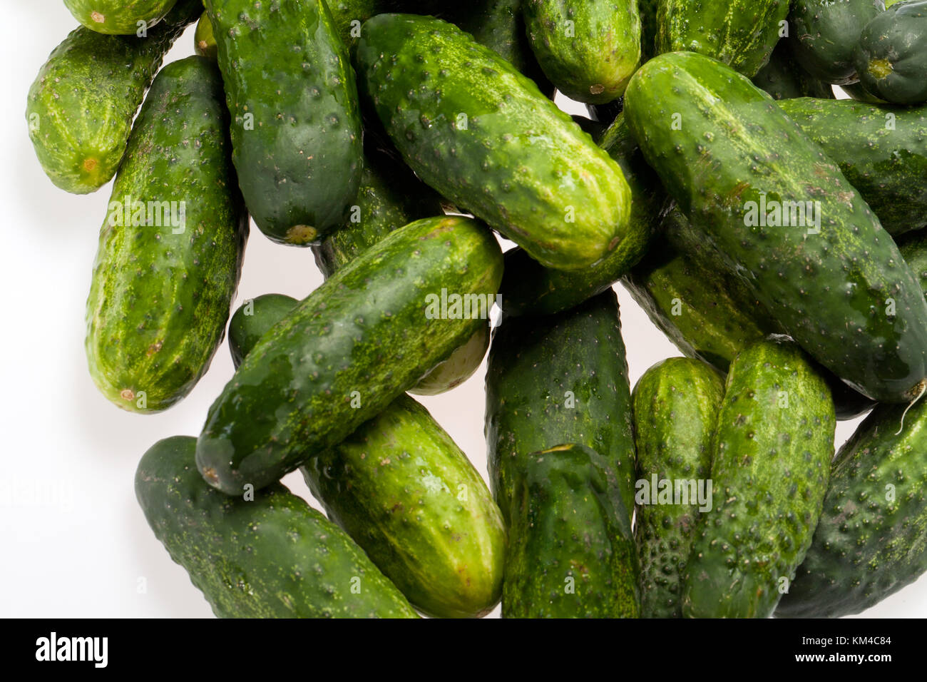 A fresh green cucumber isolated on a white background Stock Photo - Alamy