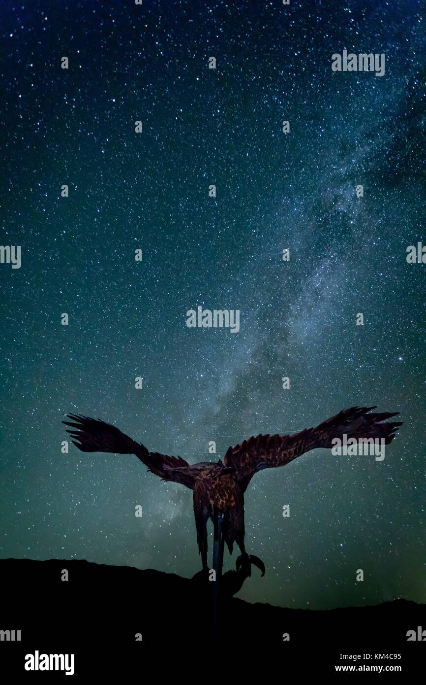 Super-sized Wind God Bird sculpture standing out against the starry ...