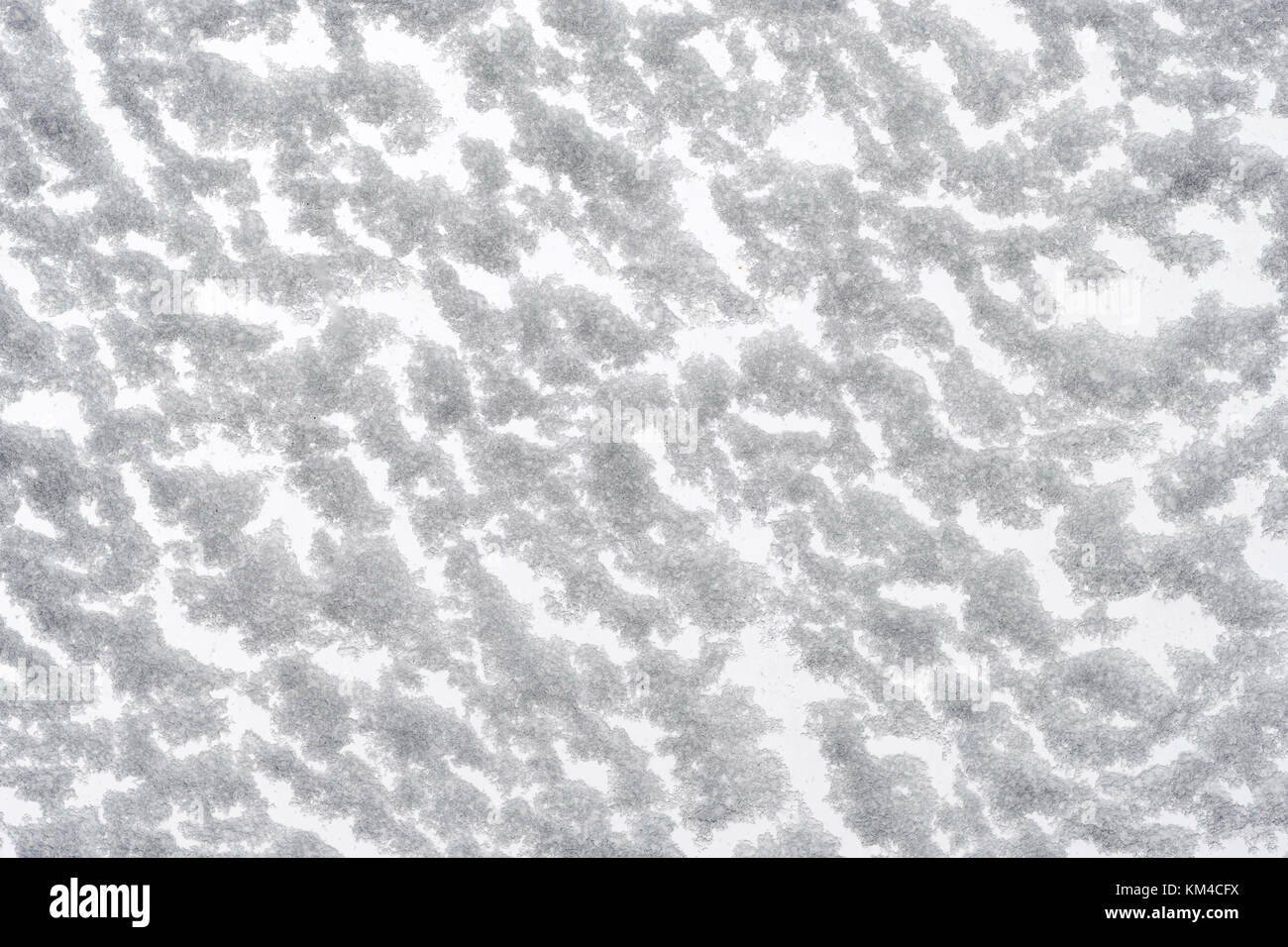 White snow texture. Snow-covered glass bottom view. Christmas and New ...