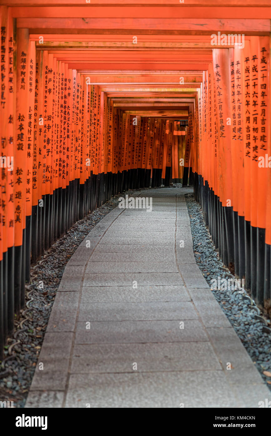 Curved corridor of Red Torii gates at Fushimi Inari Taisha Shinto ...