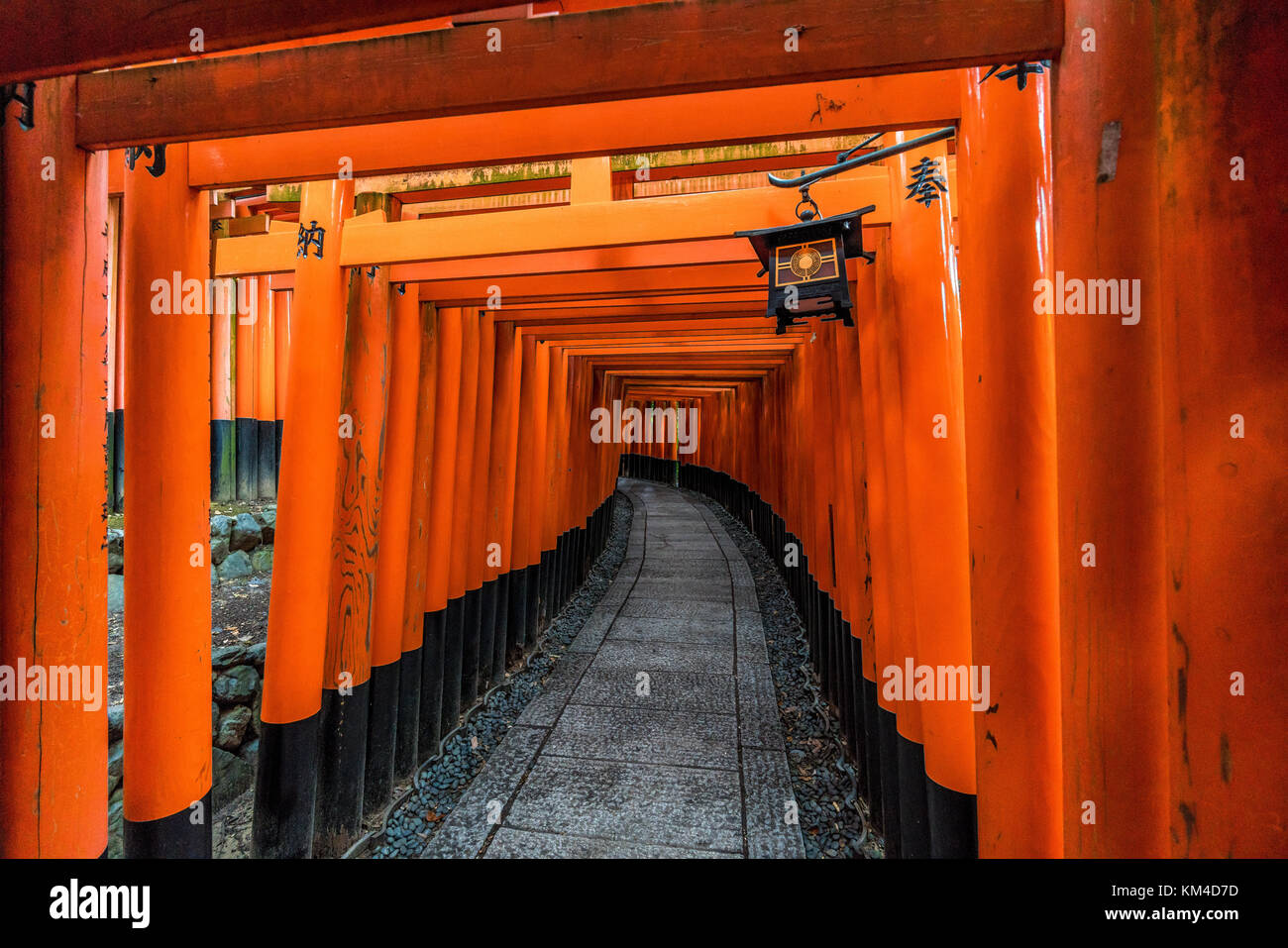 Hanging lamp (Tsuridourou) at Curved path of Red Torii gates of Fushimi ...