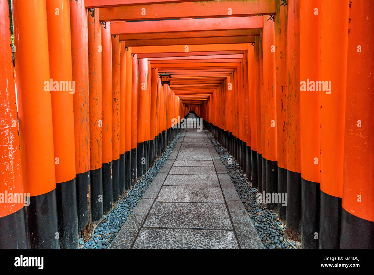 Corridor of Red Torii gates at Fushimi Inari Taisha Shinto shrine ...