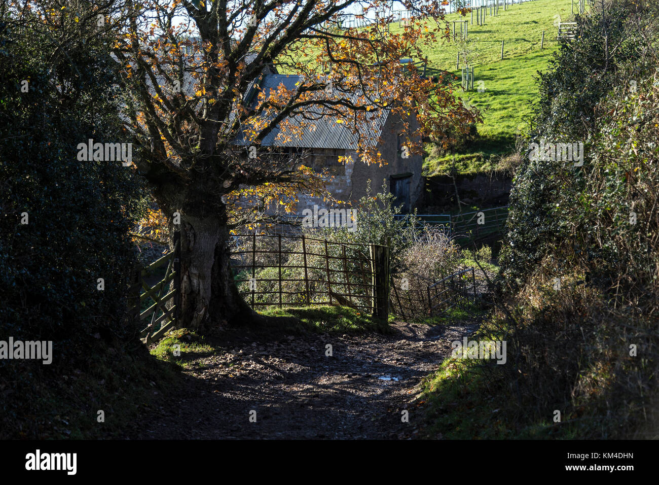 A barn is an agricultural building usually on farms and used for ...